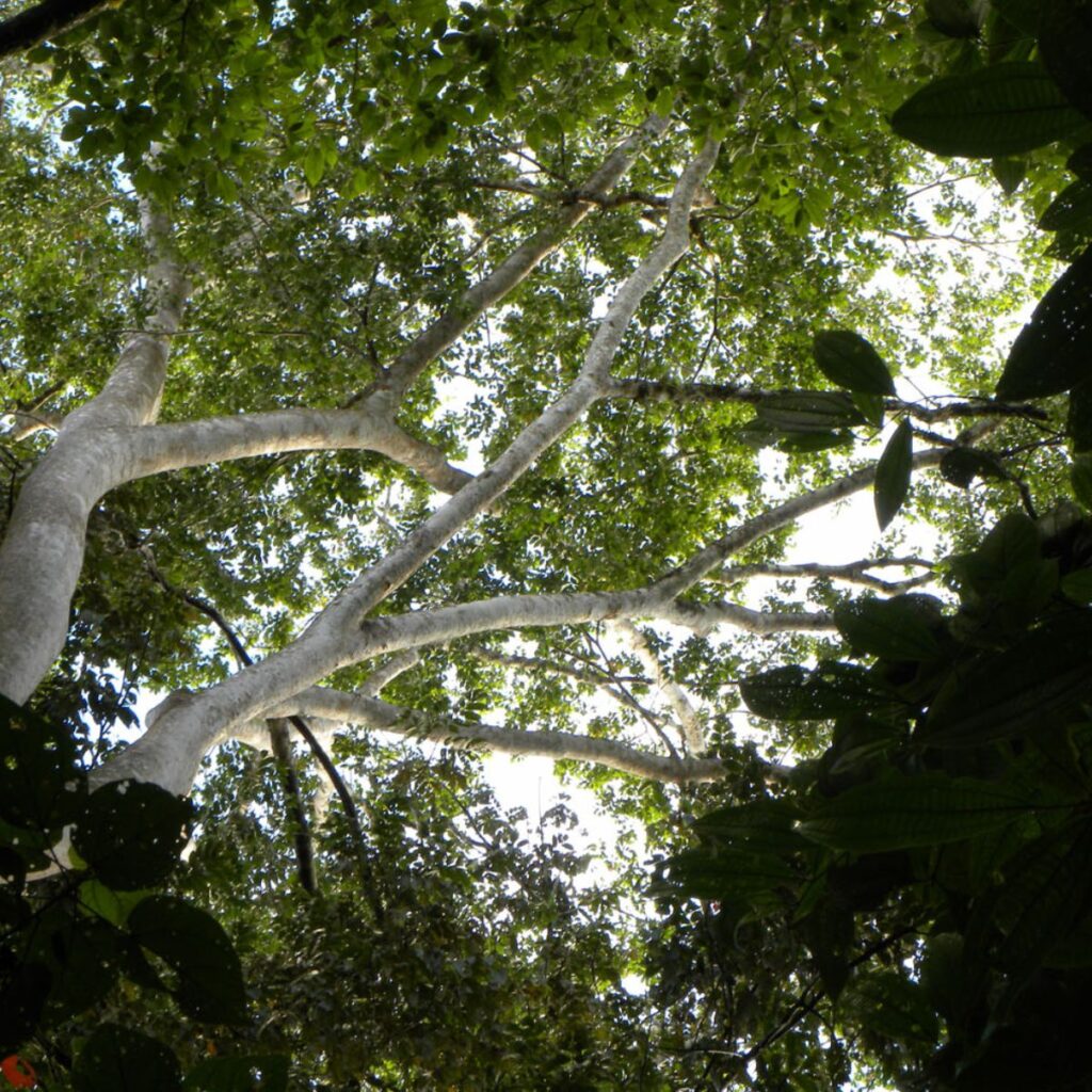 10 jednostavnih načina da danas živite održivije - Forest Friends