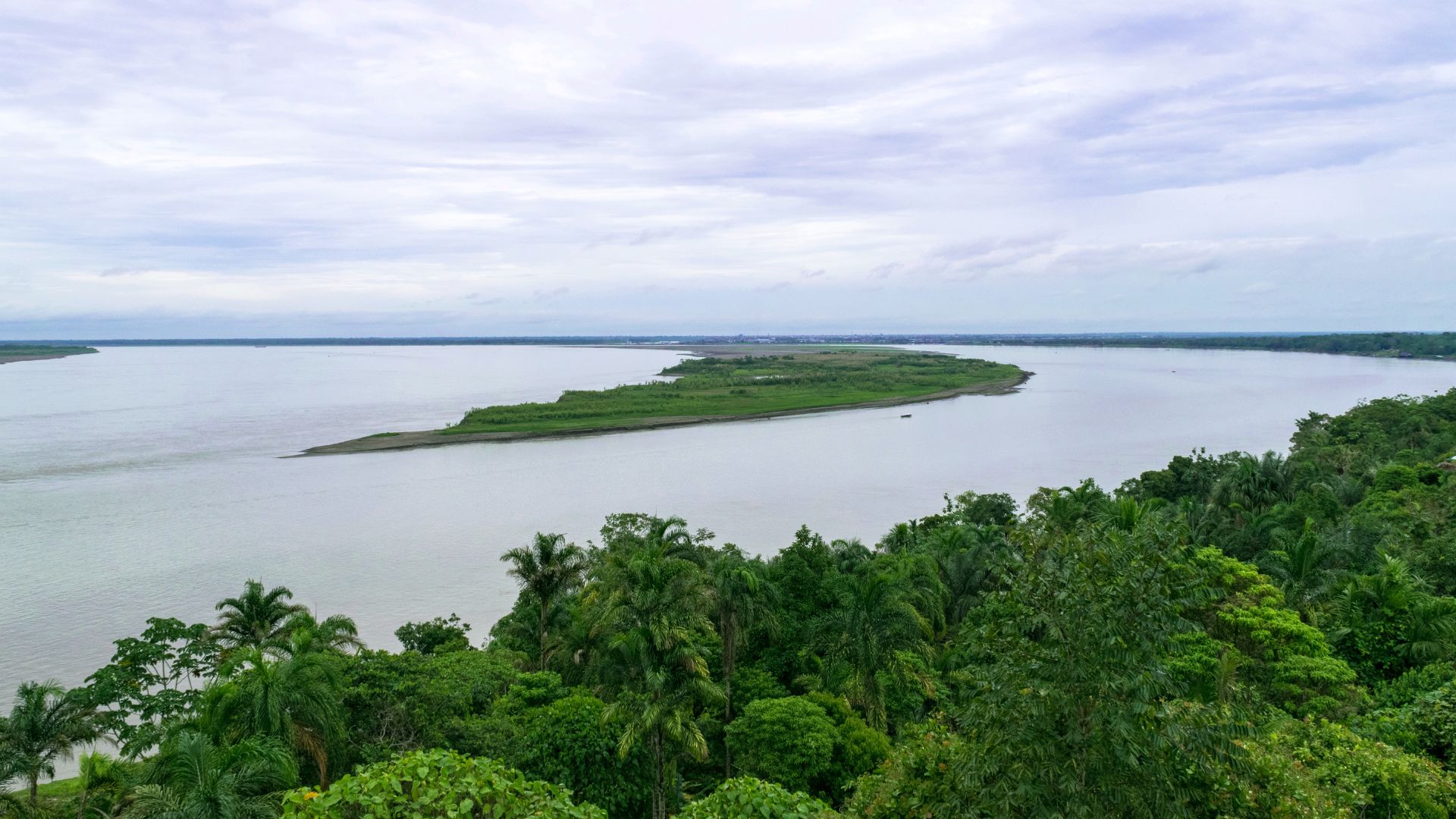 Why Planting Native Trees is Essential for Ecosystem Restoration 🌱 ...
